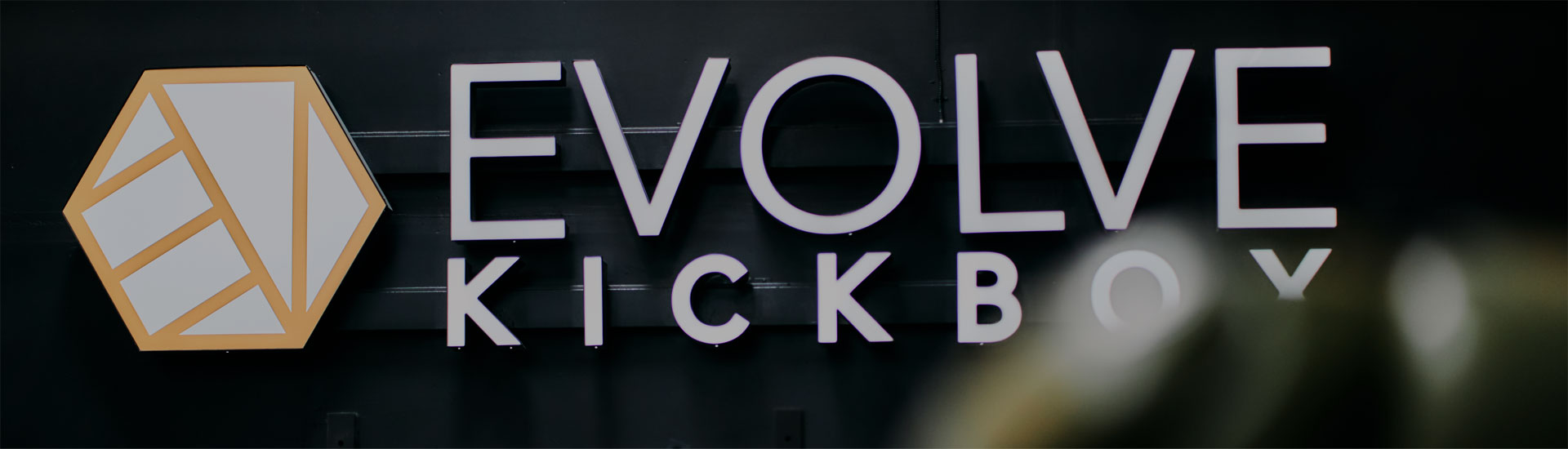 About Evolve | Kickboxing & Fitness Gym in Las Vegas